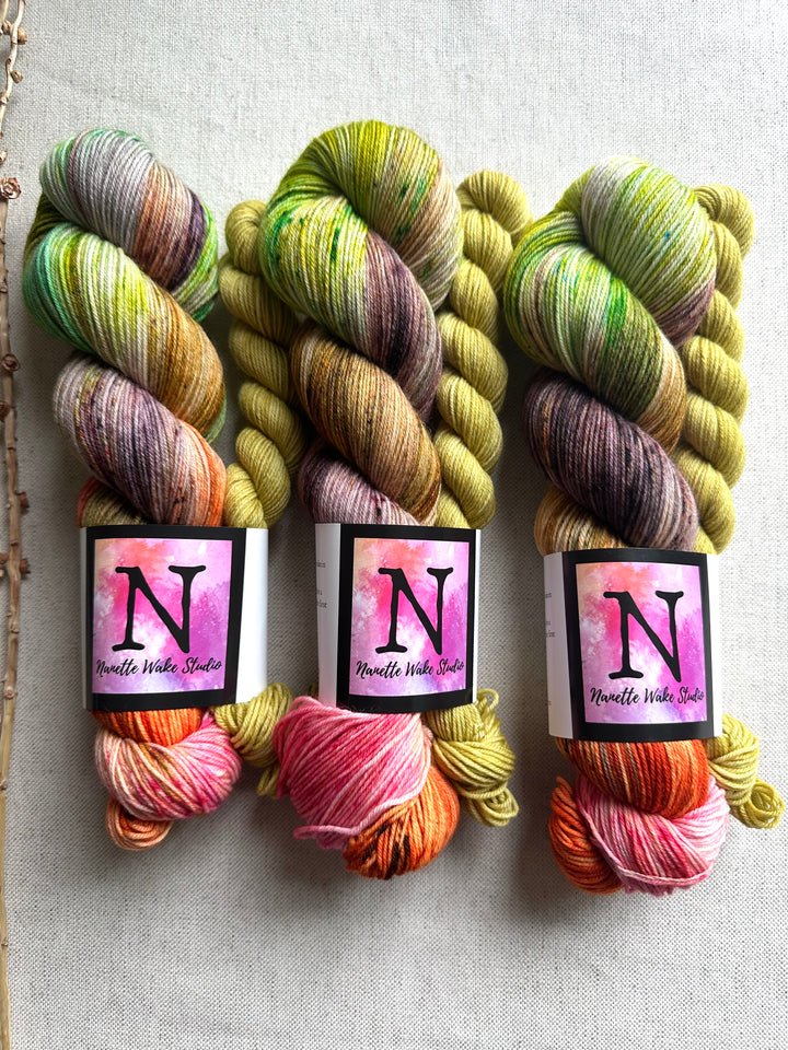 Duck Duck Goose Sock Set